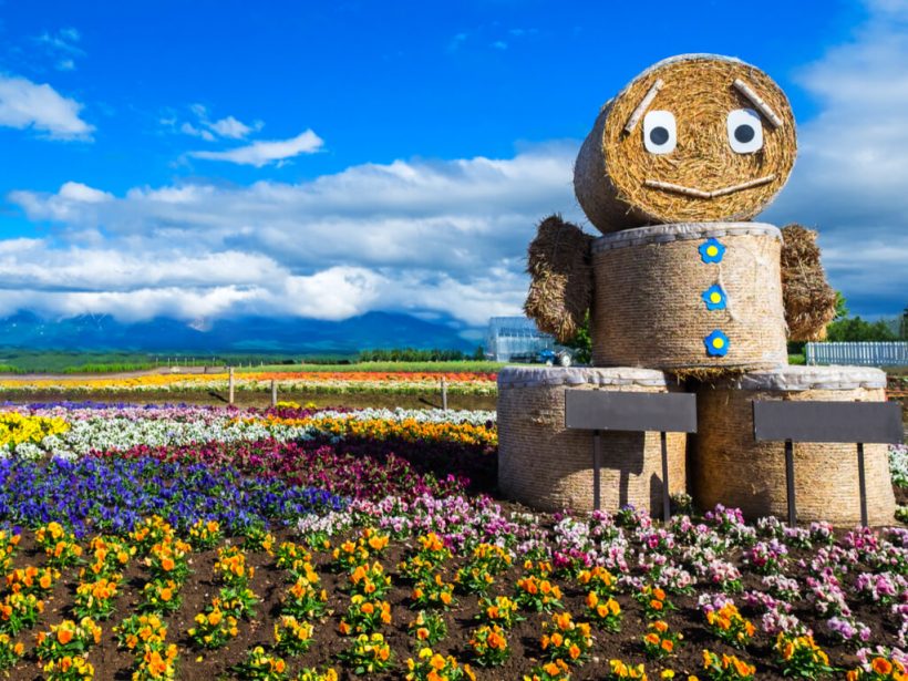 4 Days Central Hokkaido - Triangle Travel